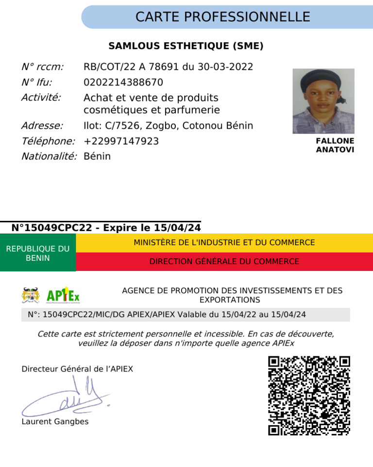 Carte Professionnel | PDF