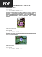 Plantas Medicinales Selva Peruana | PDF