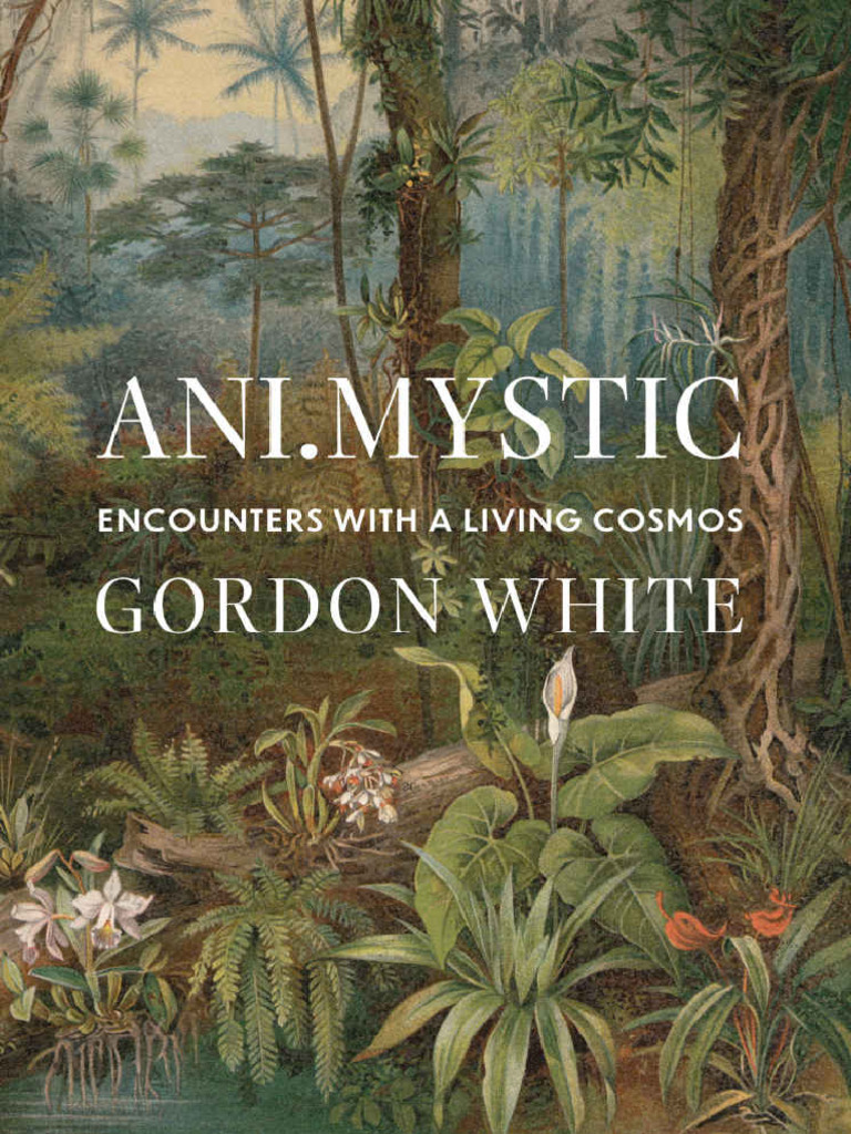 Ani - Mystic - Encounters With A Living Cosmos | PDF | Empiricism ...