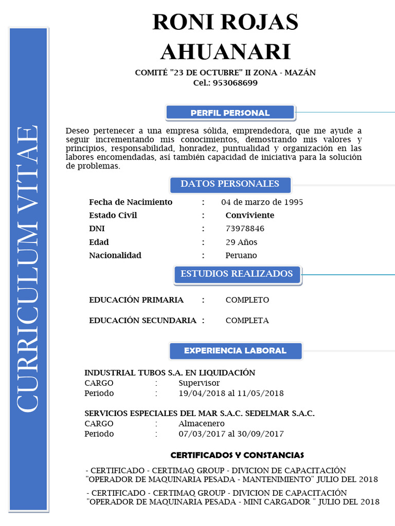 Curriculum Roni Rojas | PDF