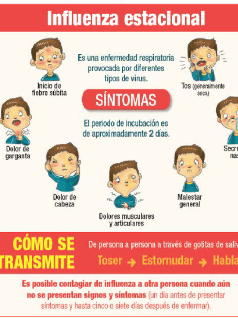 Influenza Infografia | PDF