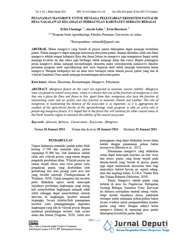 Penanaman Mangrove Untuk Menjaga Pelestarian Ekosistem Pantai Di Desa ...