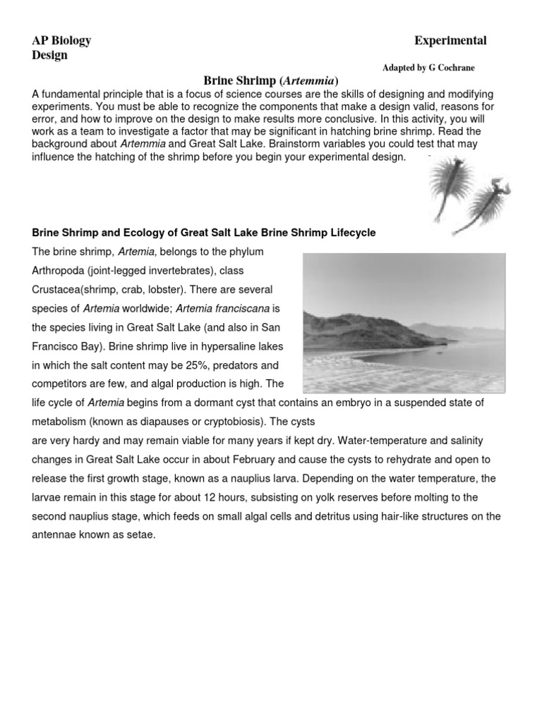 Brine Shrimp Lab | PDF | Experiment