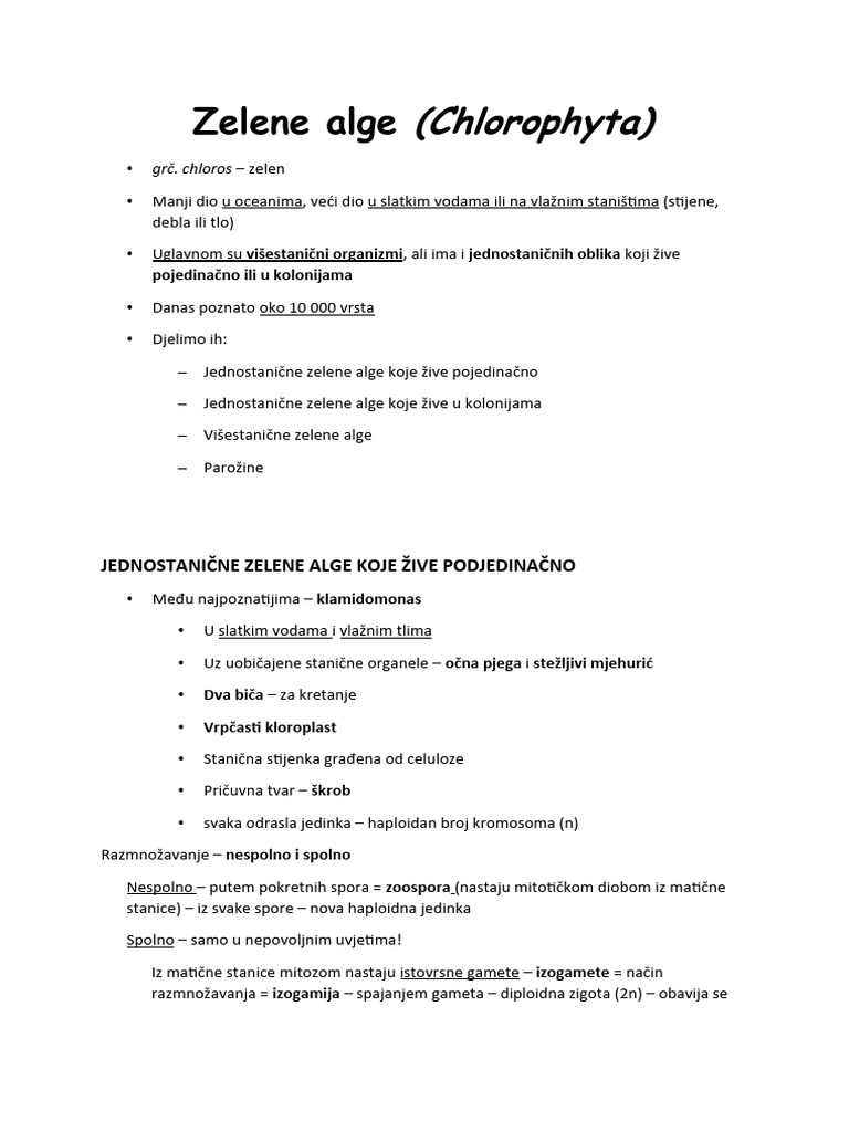 Zelene Alge 7 | PDF
