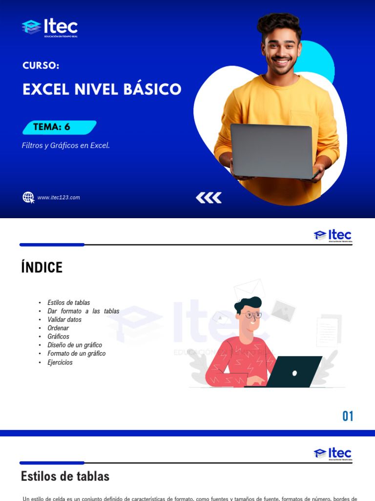 Filtros y Gráficos en Excel Básico | PDF | Microsoft Excel | Informática