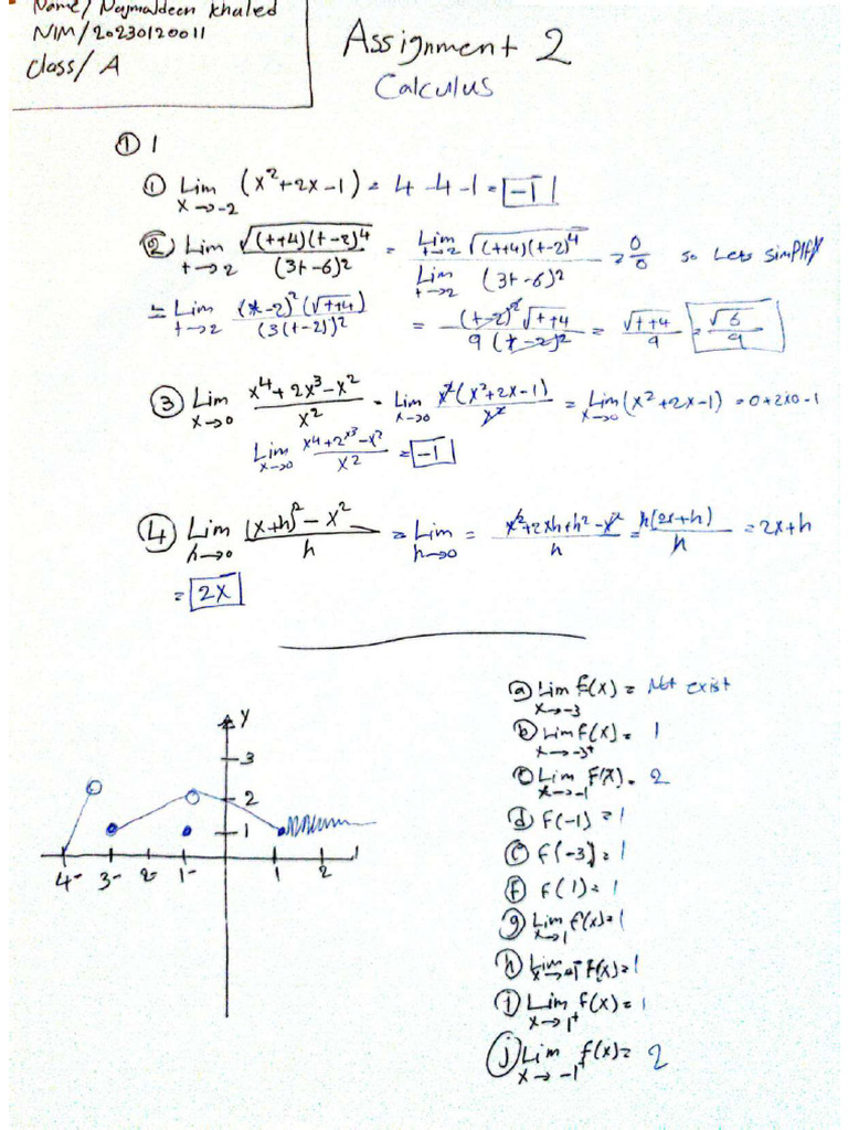 Calculus Assignment 2 - Compressed | PDF