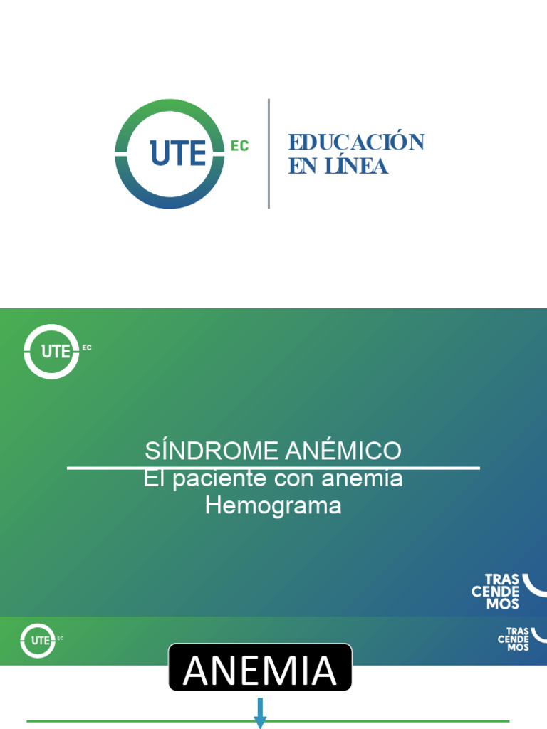 Sindrome Anémico, El Paciente Con Anemia y Hemograma | PDF | Anemia ...