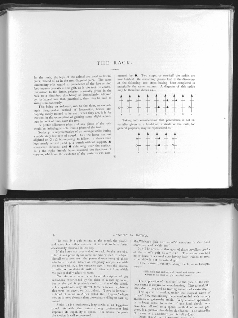 056 04 The Rack | PDF