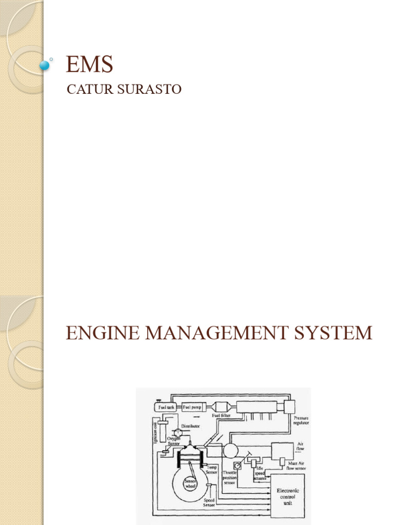 Presentation Ems | PDF