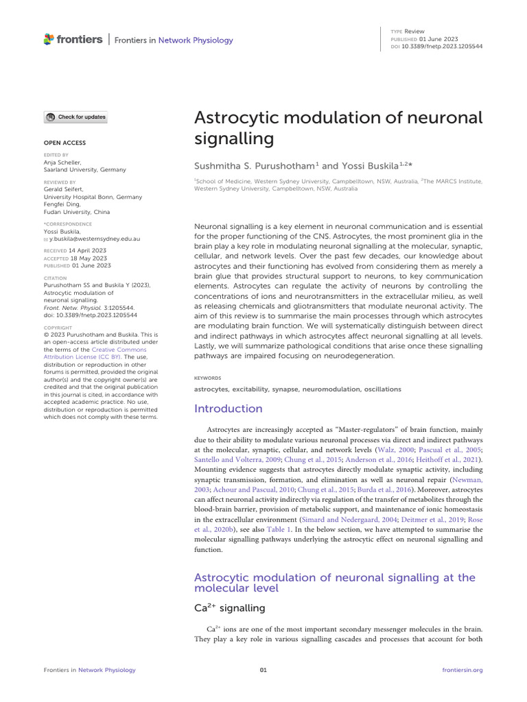 Astrocytic Modulation of Neuronal Signalling | PDF | Synapse | Astrocyte