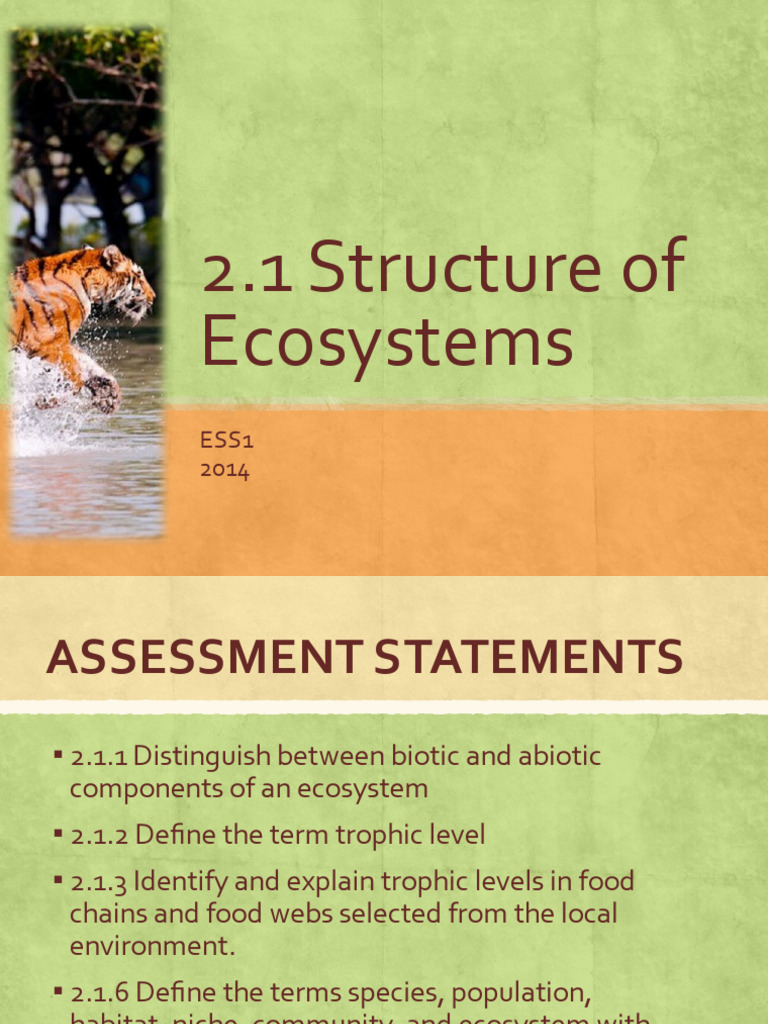 2.1 Structure of Ecosystems | PDF | Food Web | Ecosystem