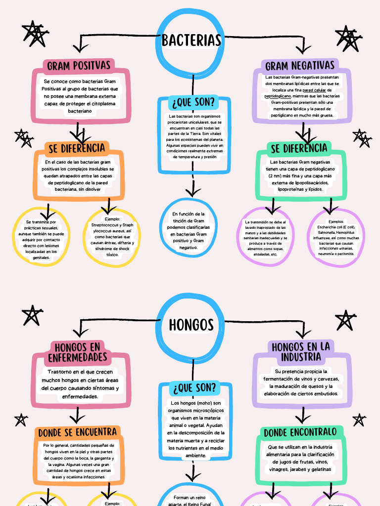 Colorful Creative Concept Map | PDF | Las bacterias | Bacterias Gram ...