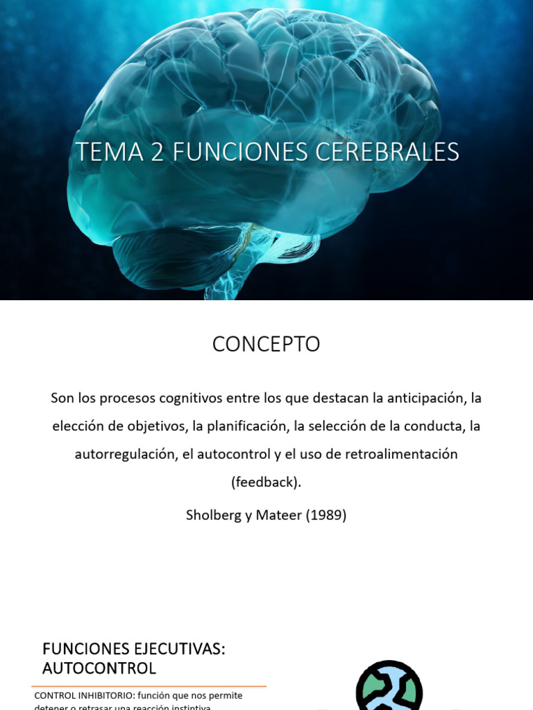 Funciones Ejecutivas y TDAH: Evaluación y Rehabilitación | PDF ...