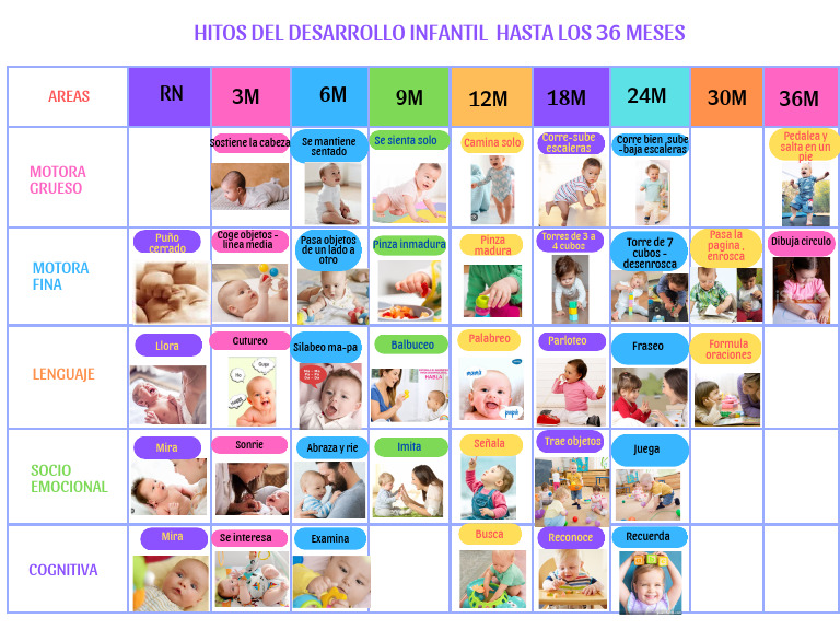 Hitos Del Desarrollo Infantil | PDF