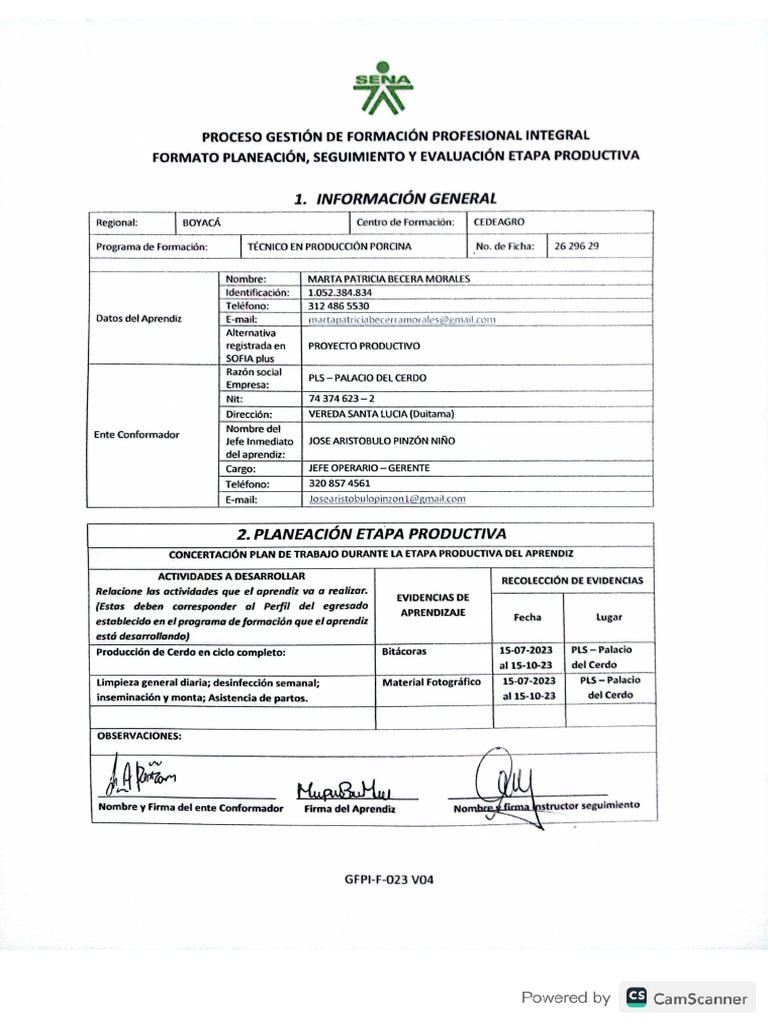 Seguimiento 1 Patricia Becerra | PDF