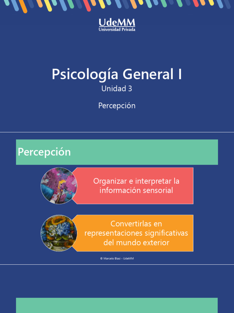 Pgi - Tema 5 - Percepcion | PDF | Percepción | Psicología cognitiva