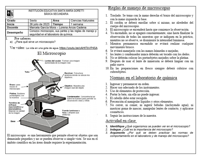 Microscopio y Reglas en El Laboratorio | Descargar gratis PDF ...