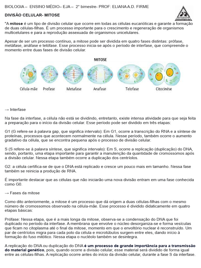 Mitose e Meiose | PDF | Mitose | Célula (Biologia)