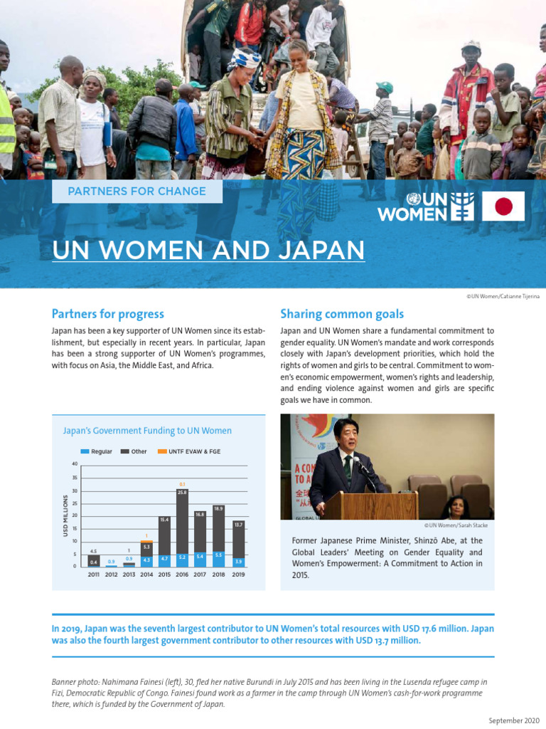 Partners For Change Japan en | PDF | Violence | International Relations