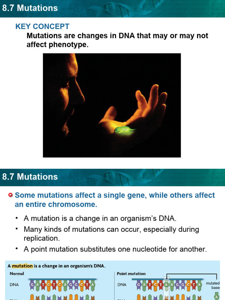 8.7 Mutations | PDF