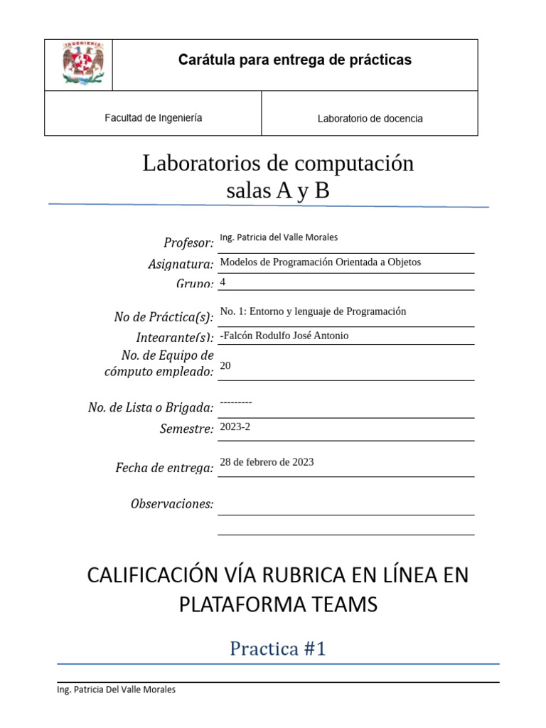 P1 Unam Entorno Y Lenguaje De Programación Pdf Java Lenguaje De 