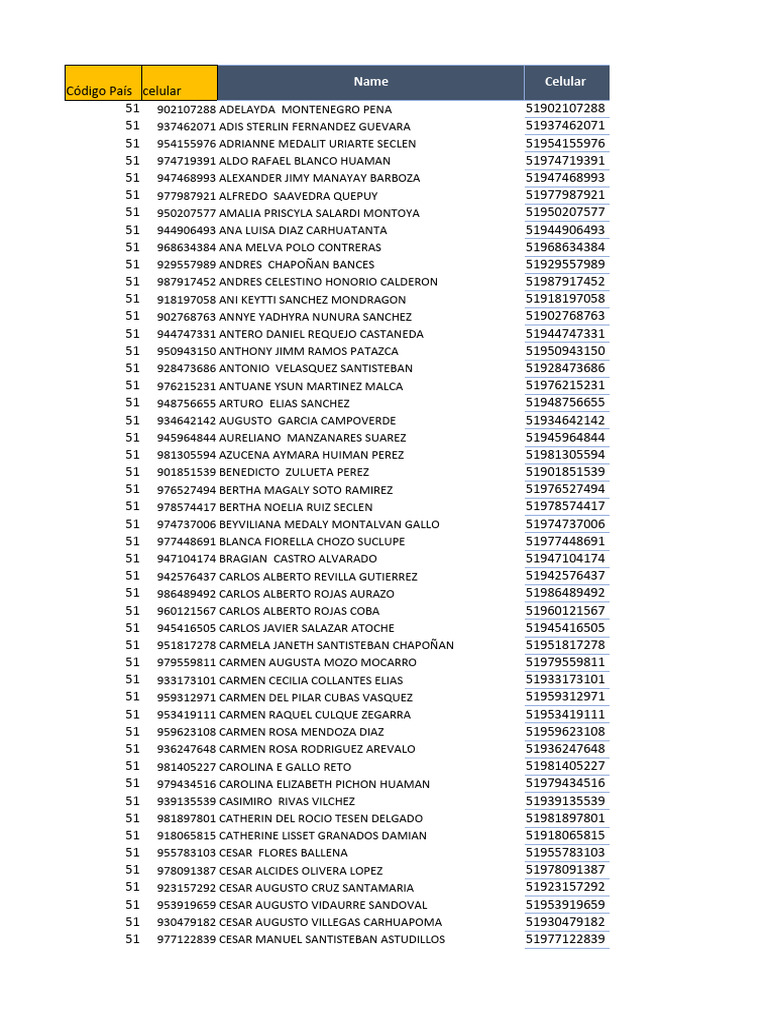 Plantilla Para Envío WAPI | PDF