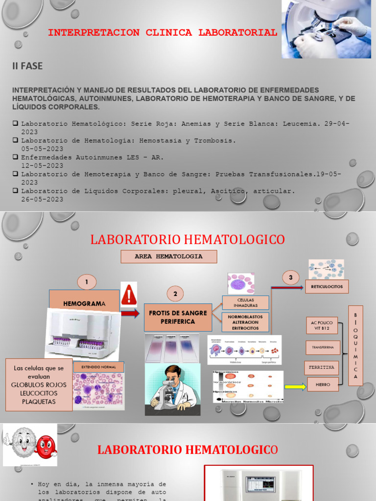 Laboratorio Hematologico | Descargar gratis PDF | Hematología | Glóbulo rojo