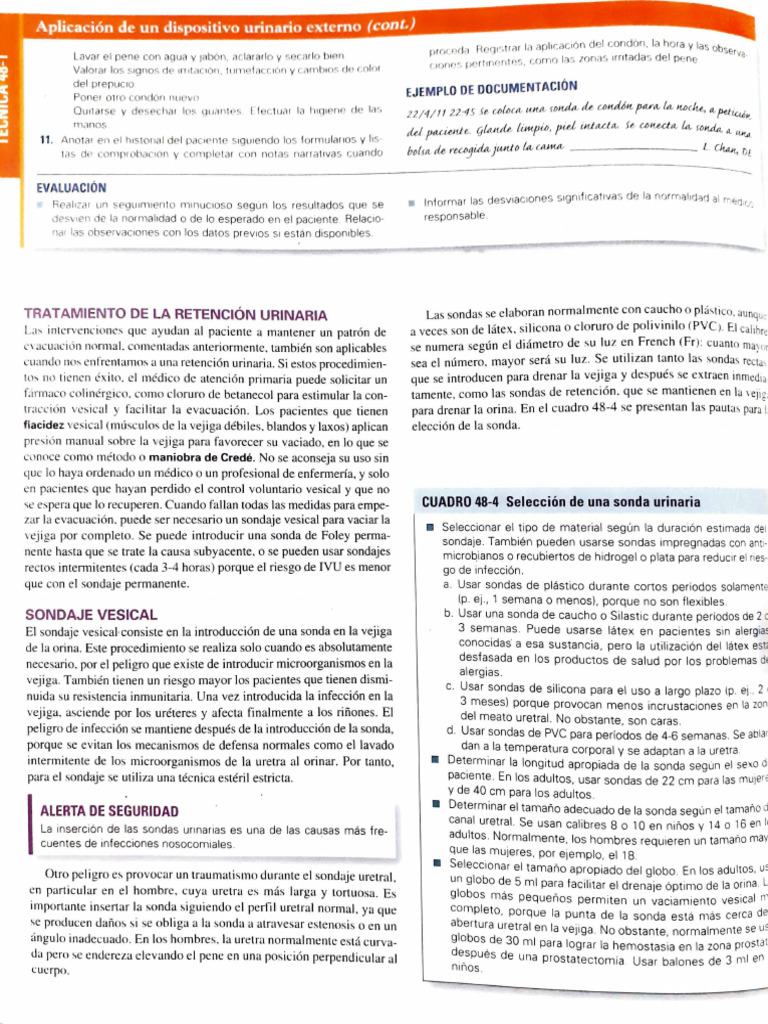 Sonda Foley | PDF | Urología | Anatomia animal