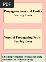 Proper Ways of Cultivation | PDF