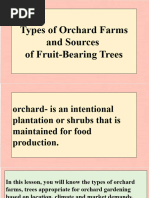 Agri Lesson 5 - Types of Orchard Farm | PDF | Trees | Fruit