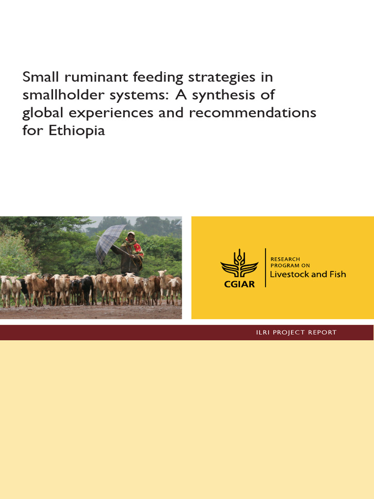 ELF Report Feedingstrategies | PDF | Agriculture | Fodder