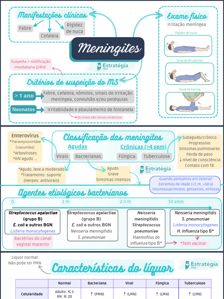 Mapa Mental - Meningites | Download grátis PDF | Meningite | Líquido ...