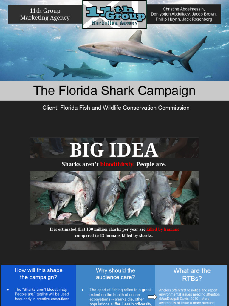 Save Florida Sharks Campaign Overview | PDF | Sharks | Biodiversity