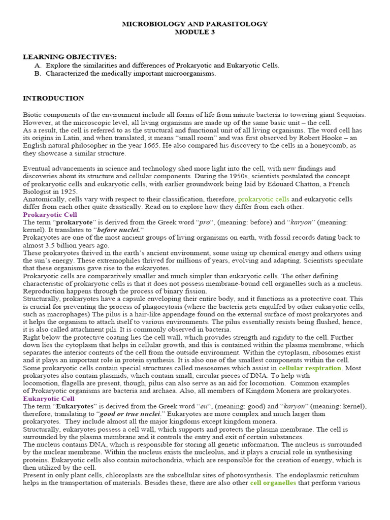 Module 3-P. E. Cells | PDF | Cell (Biology) | Prokaryote