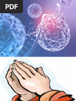 Meiosis: PMAT Stages Explained | PDF