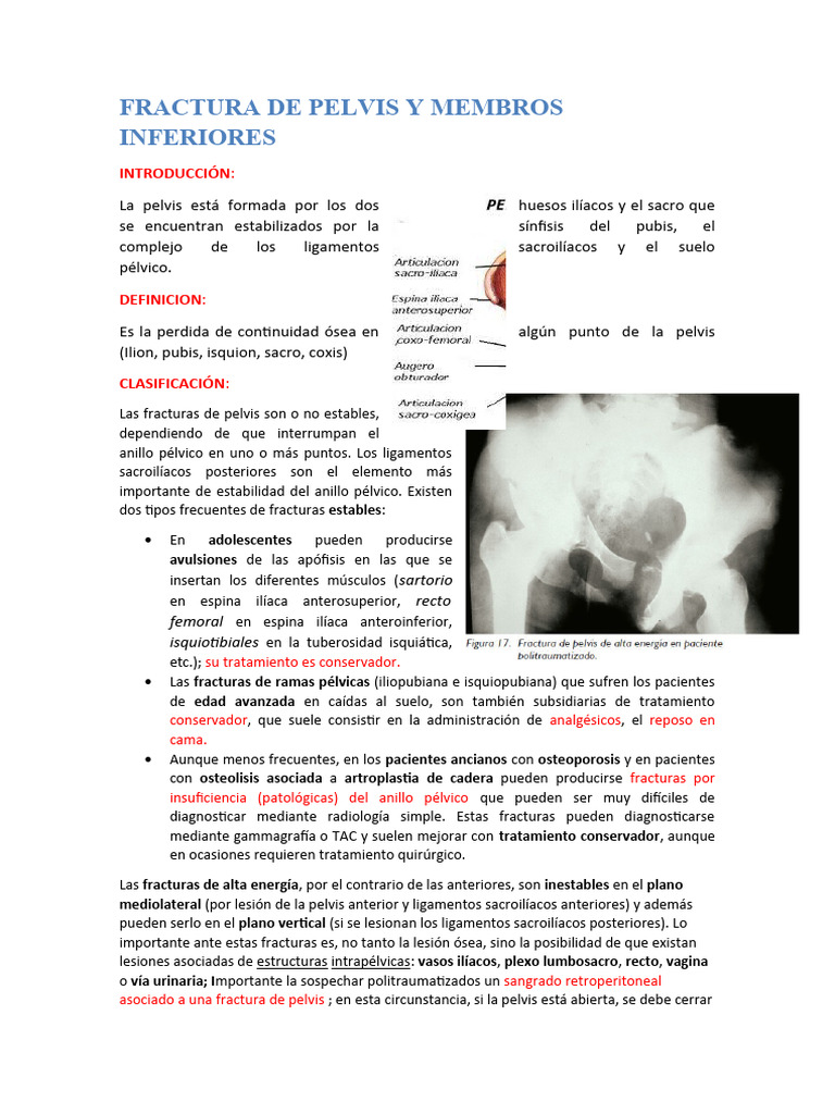 Fractura De Pelvis Y Membros Inferiores Pdf Rodilla Pelvis