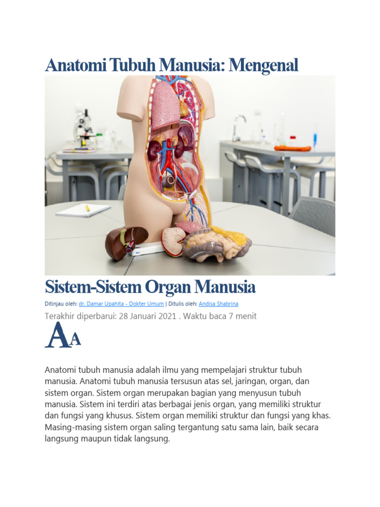 Sistem-Sistem Organ Manusia | PDF