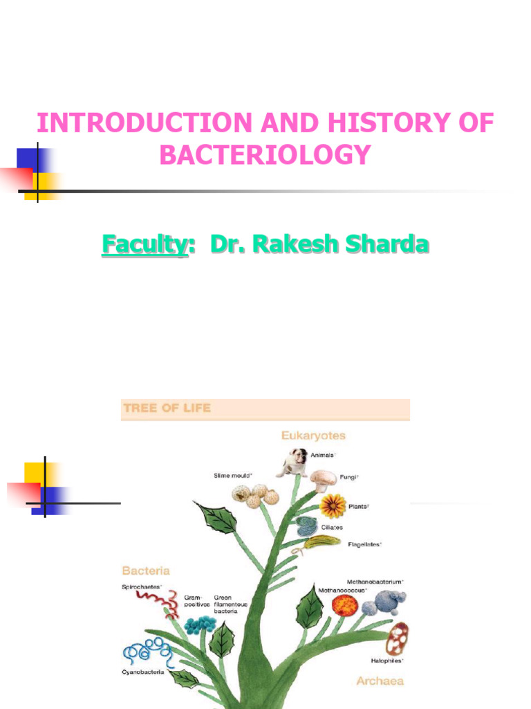 Introduction and History of Bacteriology | PDF | Microbiology ...