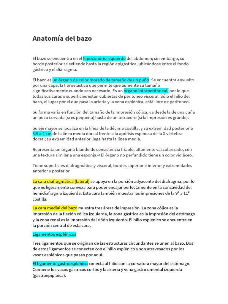 Anatomia Del Bazo. | PDF | Bazo | Anatomia animal