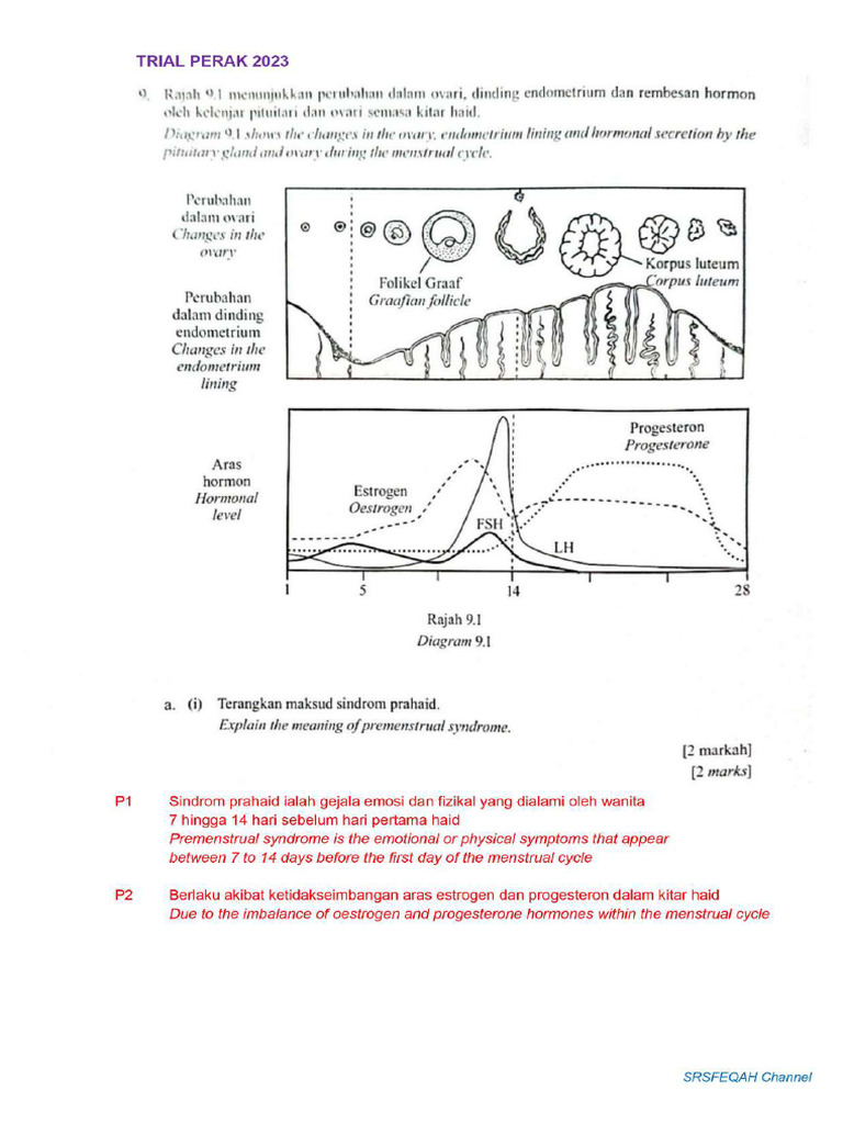 Trial Bio 2023 t4 b15 Jawapanz | PDF
