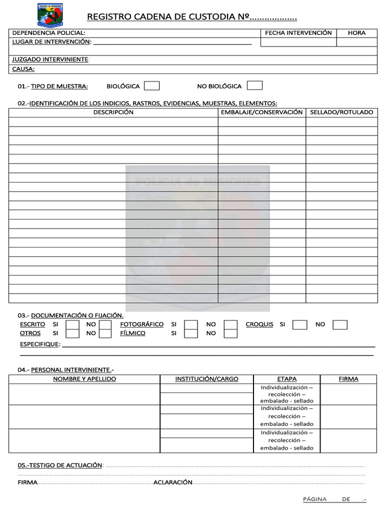 Cadena Custodia Oficio 2019 Nuevo Formato(1) | PDF