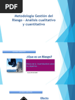 La Pirámide Del Control de Riesgos | PDF | Riesgo | Solvente
