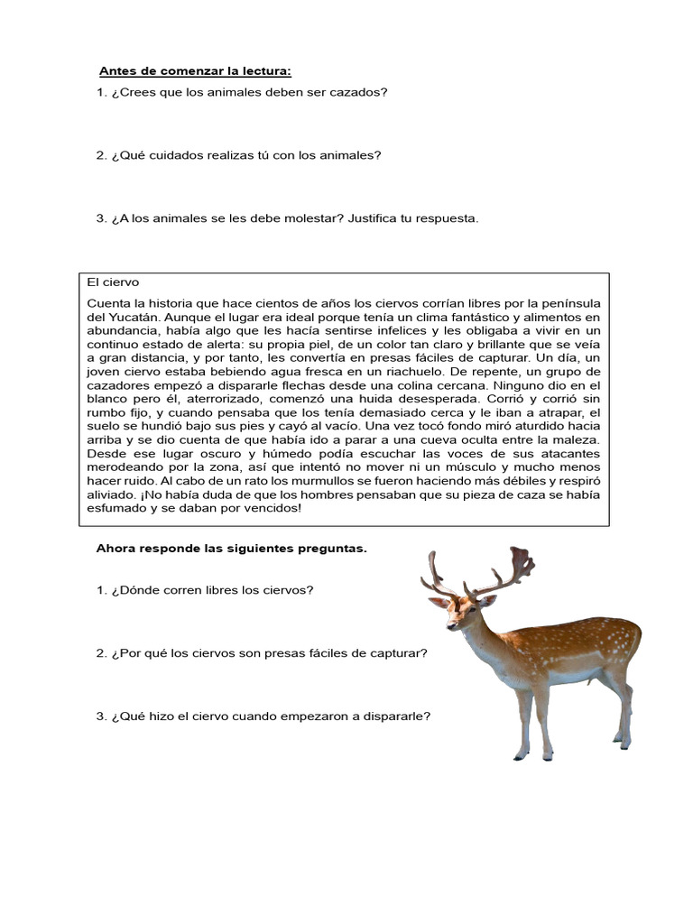 Cuadernillo de Lecturas Largas | PDF | León