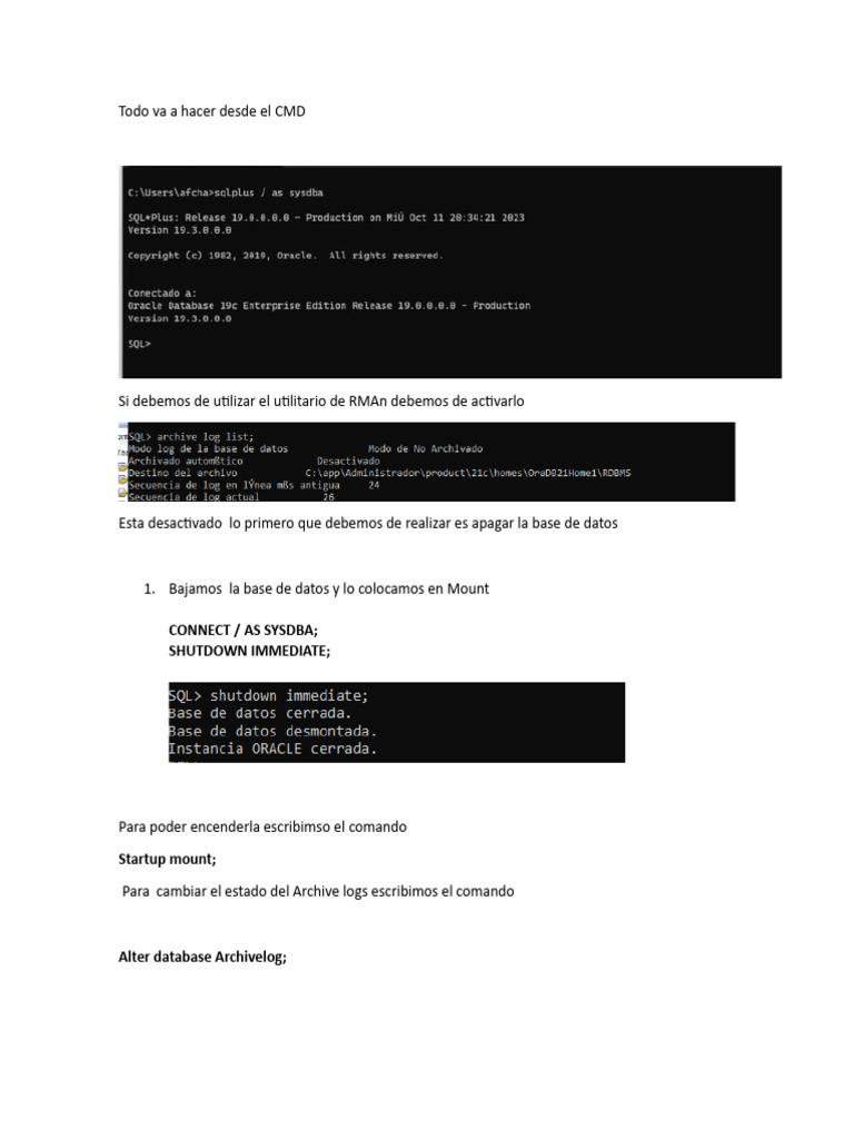 Activar El Modo Archive | PDF