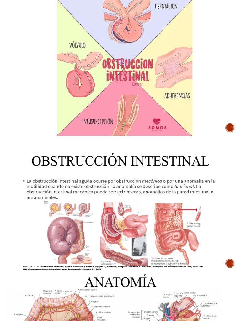 Obstrucción intestinal | PDF | Enfermedades digestivas | Especialidades ...