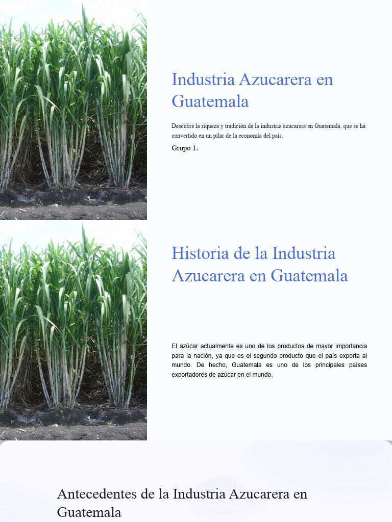 Industria-Azucarera-en-Guatemala PP - Expo Ultima | PDF | Azúcar | Dieta y nutrición