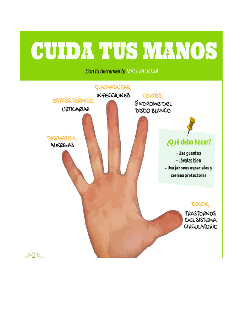 Afiche Cuida Tus Manos. | PDF