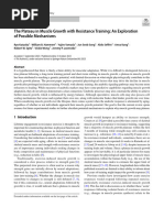 Hep2Go Home Exercise Program Guide | PDF | Anatomical Terms Of Motion ...