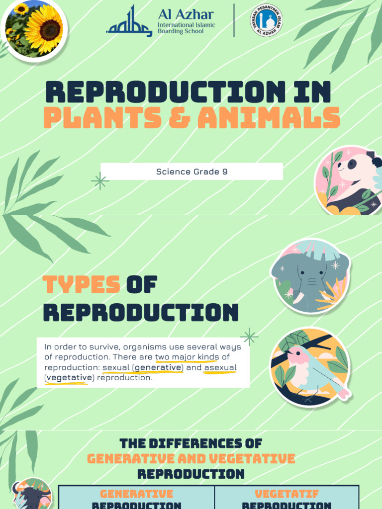Reproduction in Plants and Animals | PDF | Reproduction | Flowers