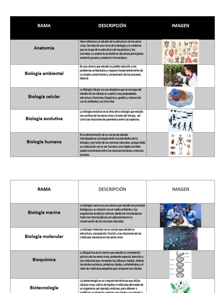 Guía de Ramas de la Biología | PDF | Biología | Organismos